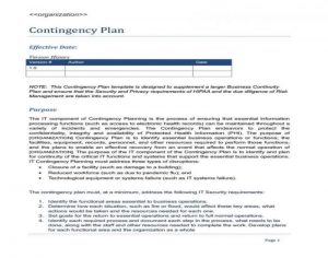 CONTINGENCY PLAN EXAMPLES (& FREE TEMPLATES) | Rayness Analytica I ...